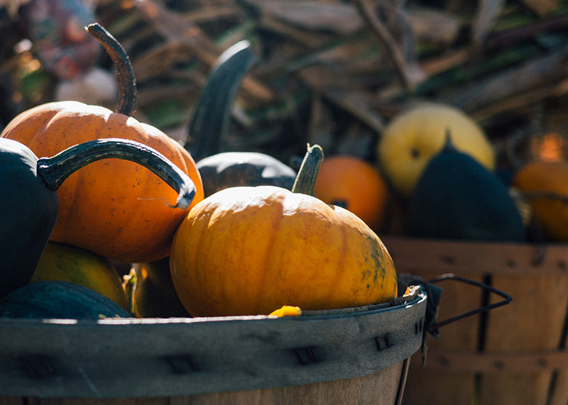 10 Reasons to Celebrate Fall - DIY in PDX