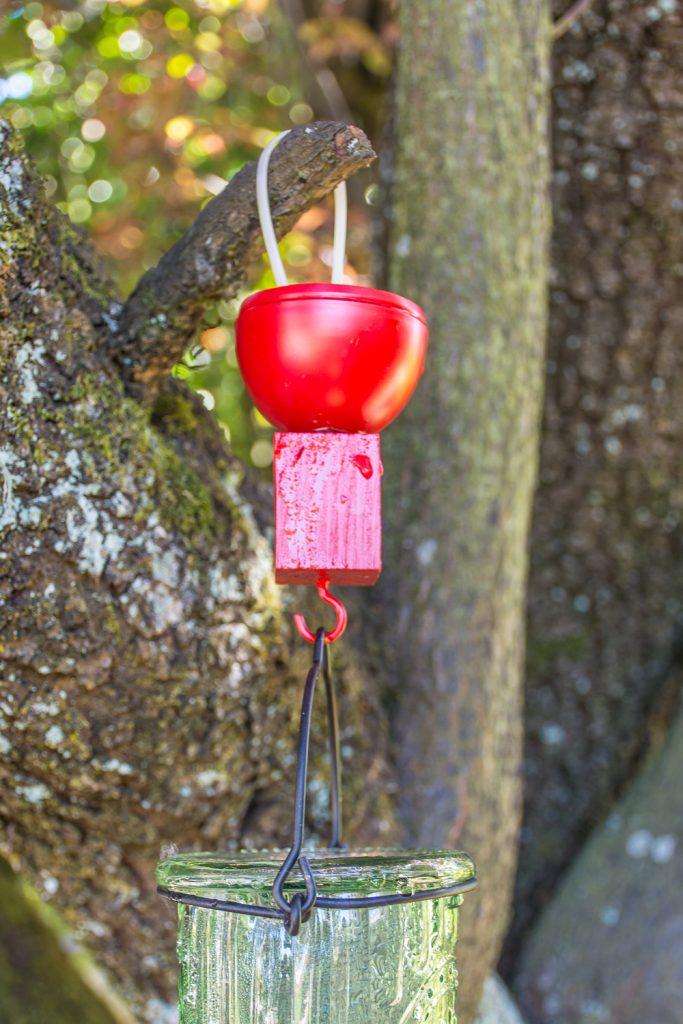 Hummingbird Feeder Ant Moat